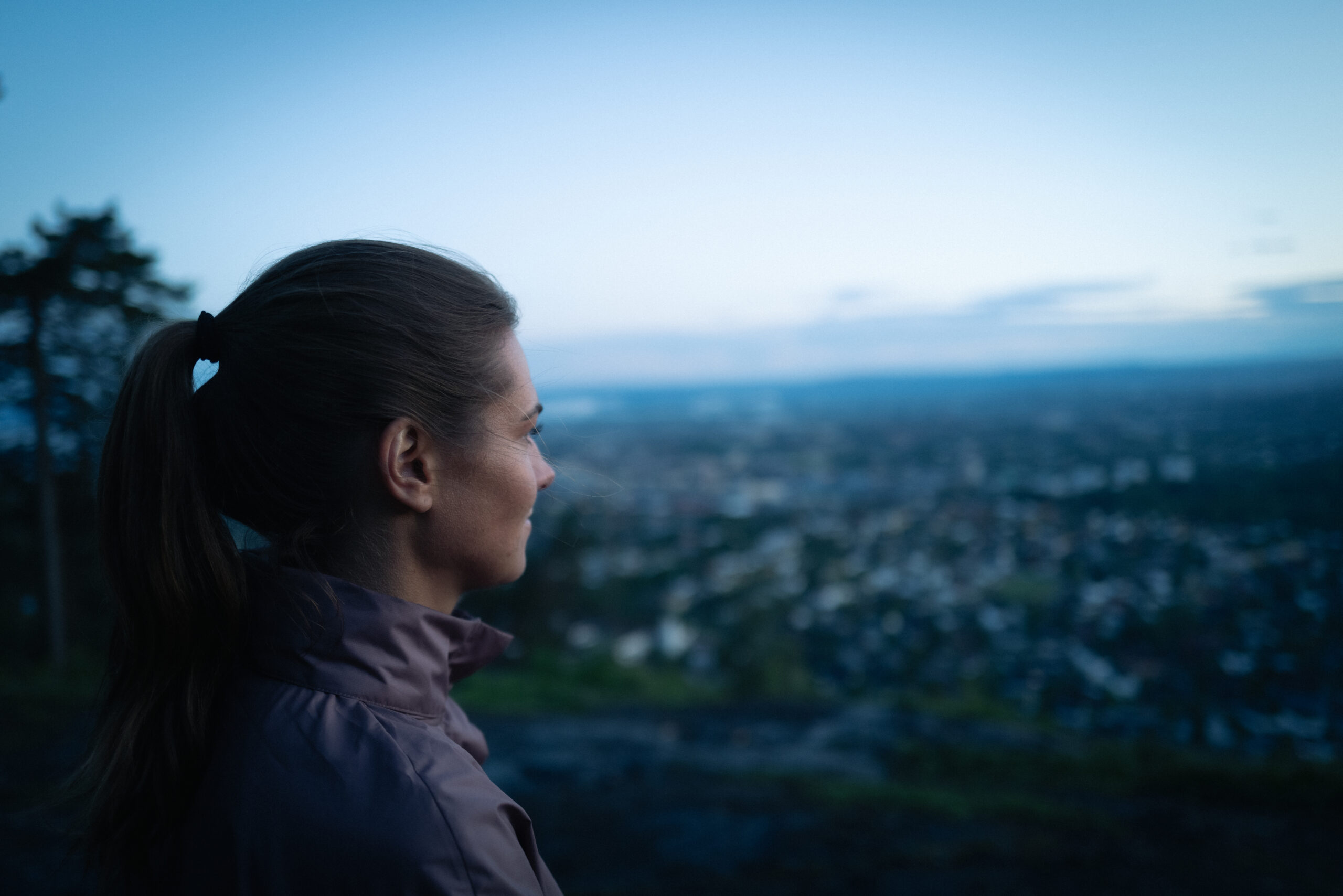 HydrogenPro in Brief | Green Hydrogen Solutions